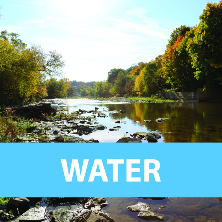 Toronto and Region Conservation Foundation | Supporting Toronto and ...