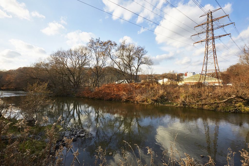 Walk the Don | Toronto and Region Conservation Foundation