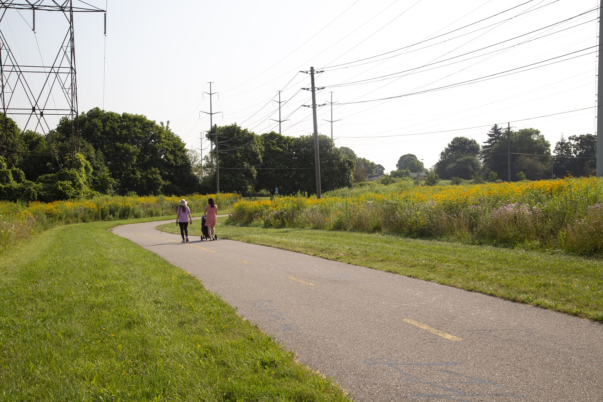 Home - Toronto and Region Conservation Foundation